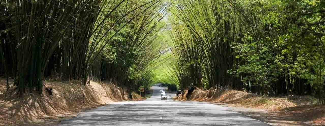 Airport Transfers - Tours Galore Ja